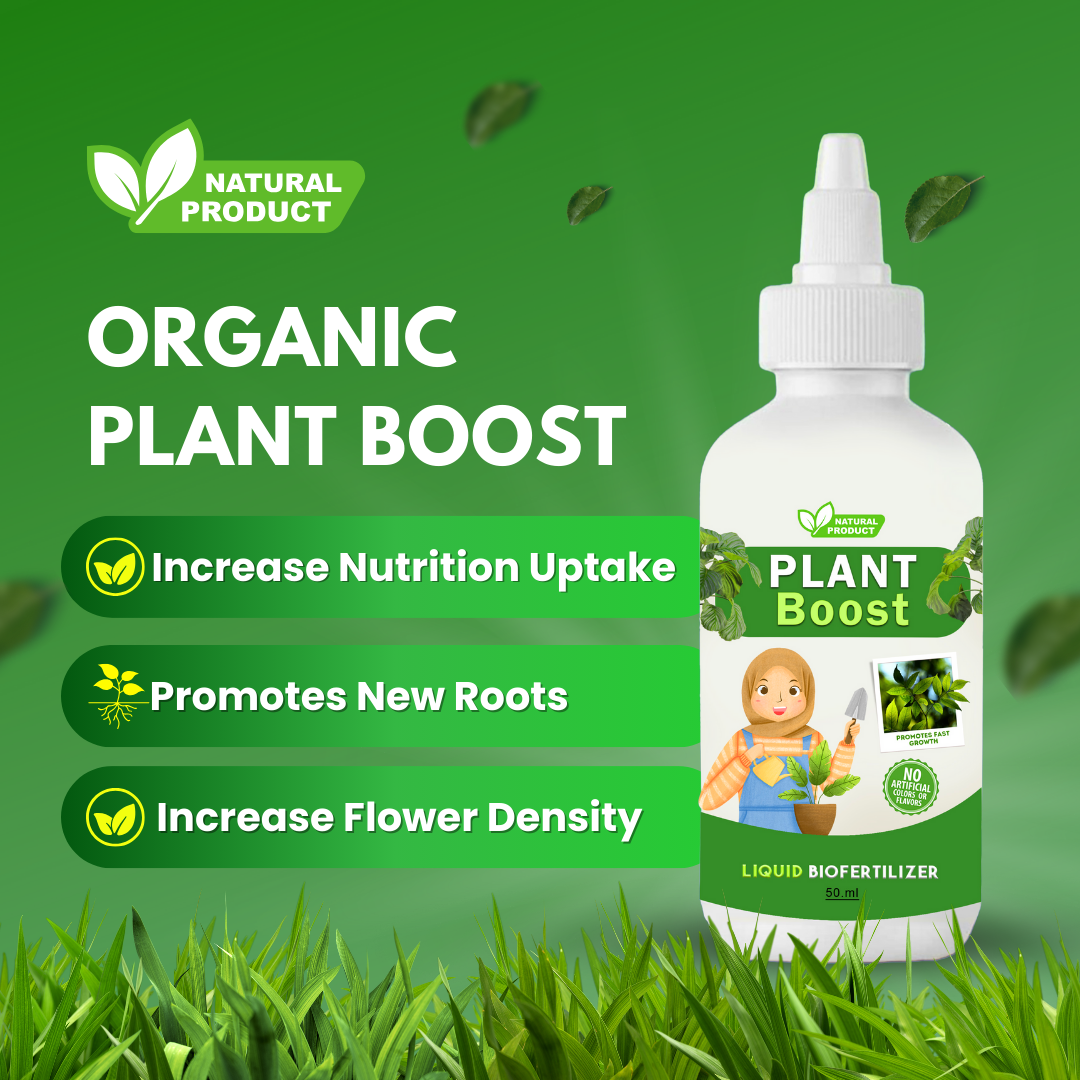 Plant Boost Combo (3 Plant Boost Packs with FREE 2 Flower Seed Packs ...